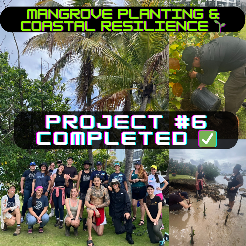 Project 6 Action — Postimages