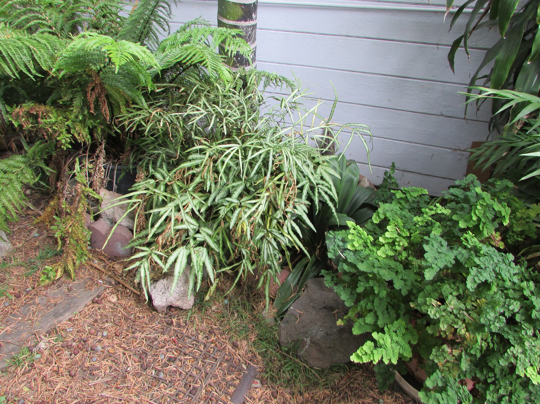 IMG 5284 — Postimages