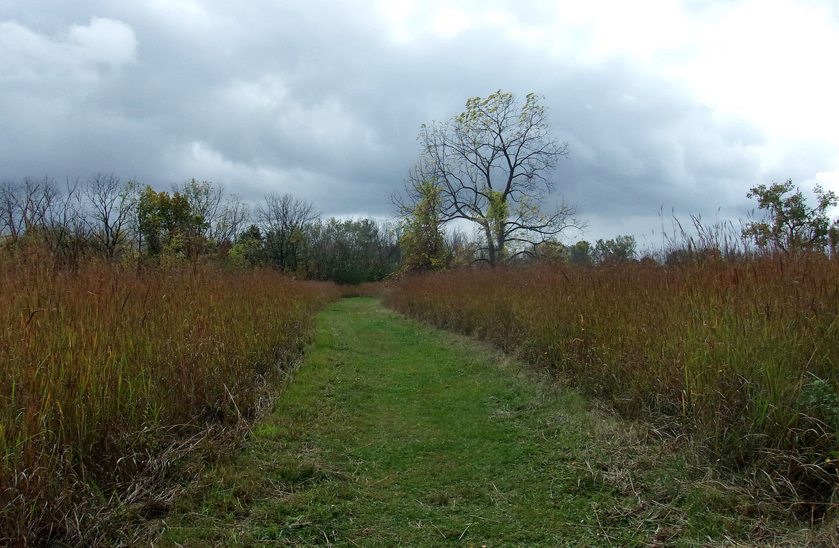 Fall Chandler — Postimages