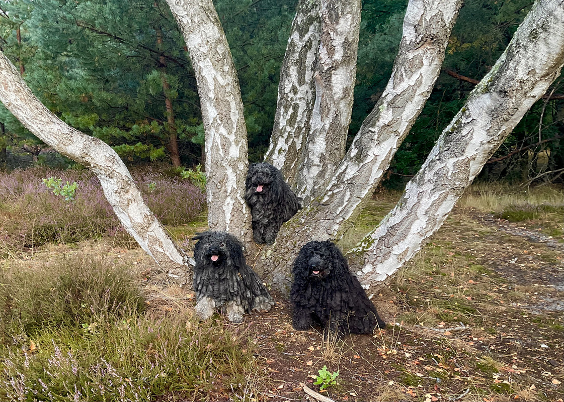 2 F6 ACC27 1 FB4 46 E1 89 BF 88 AEC73 FAC45 — Postimages