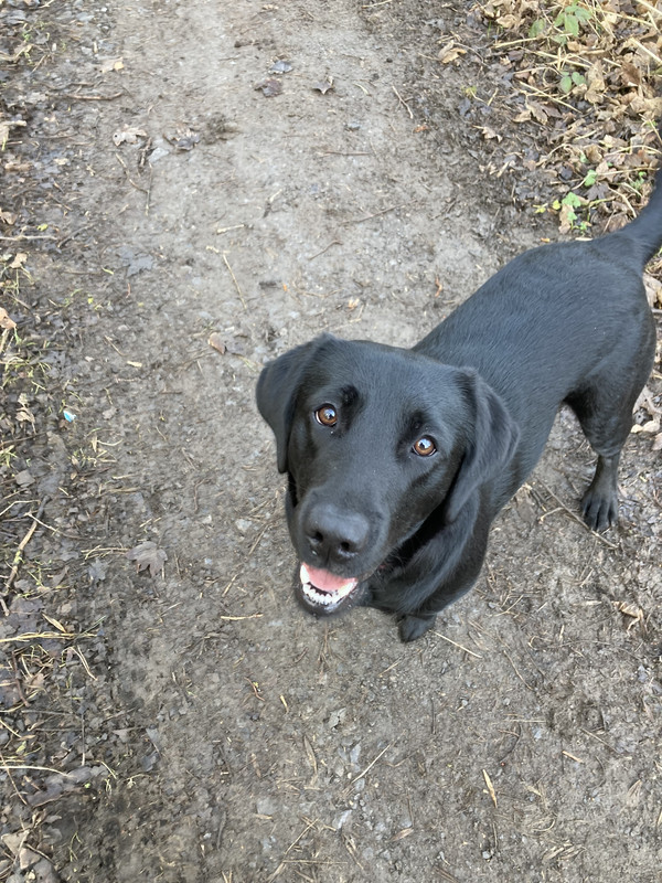 IMG 3361 — Postimages