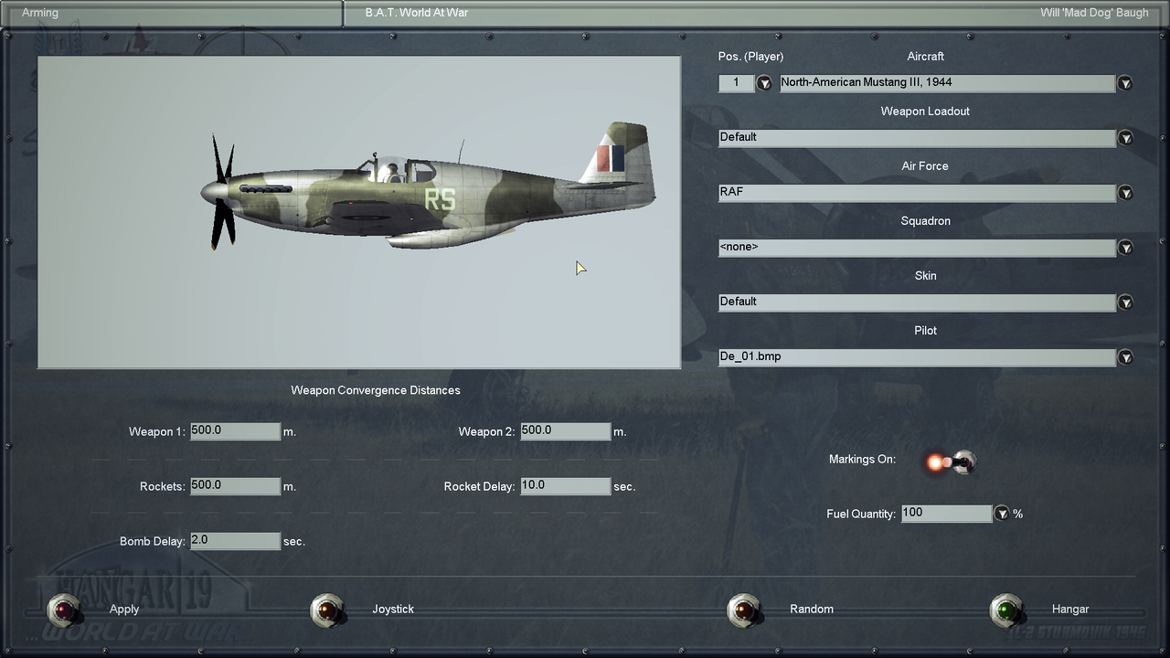 P-51 country roundels not appearing