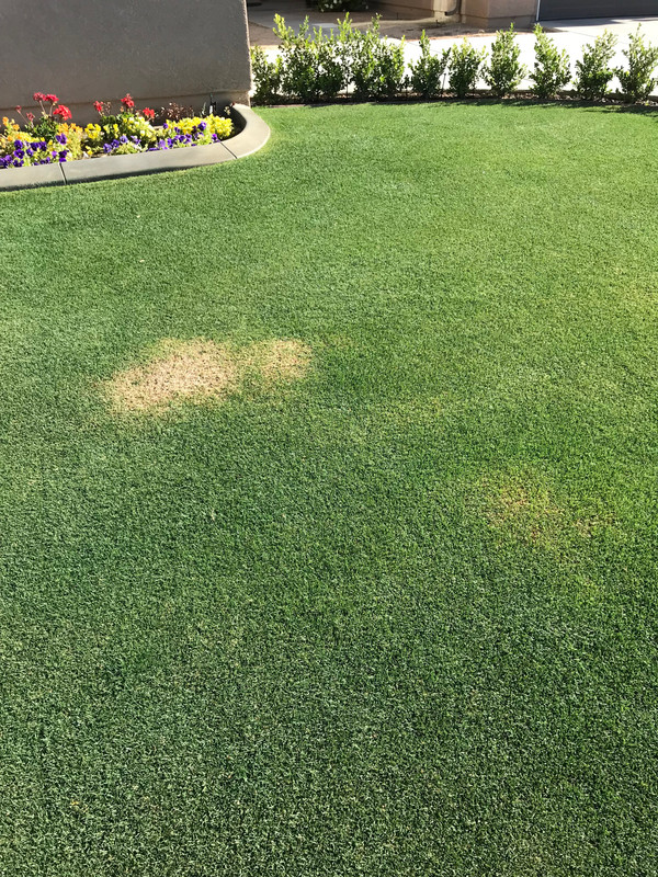 IMG 6352 — Postimages