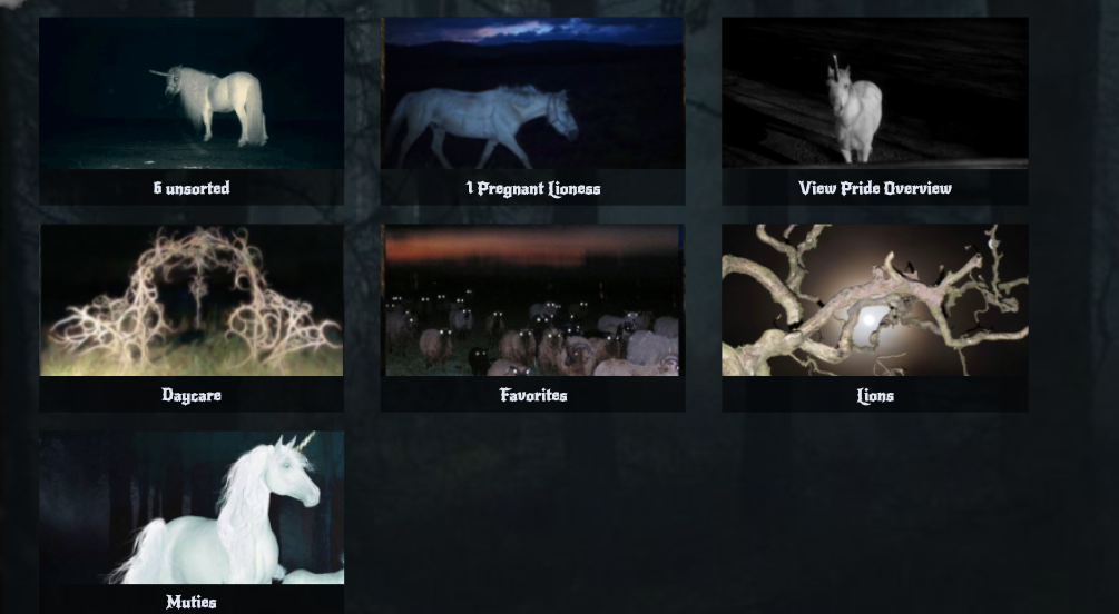 Basic CSS! :|: Lioden