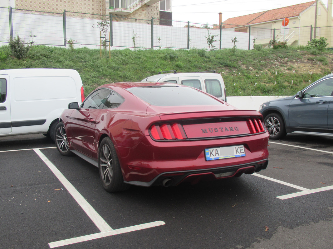 IMG 6329 — Postimages