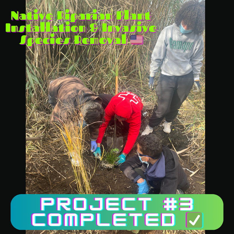 Project 3 Action — Postimages