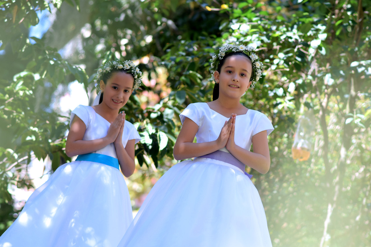 DSC 3261 — Postimages