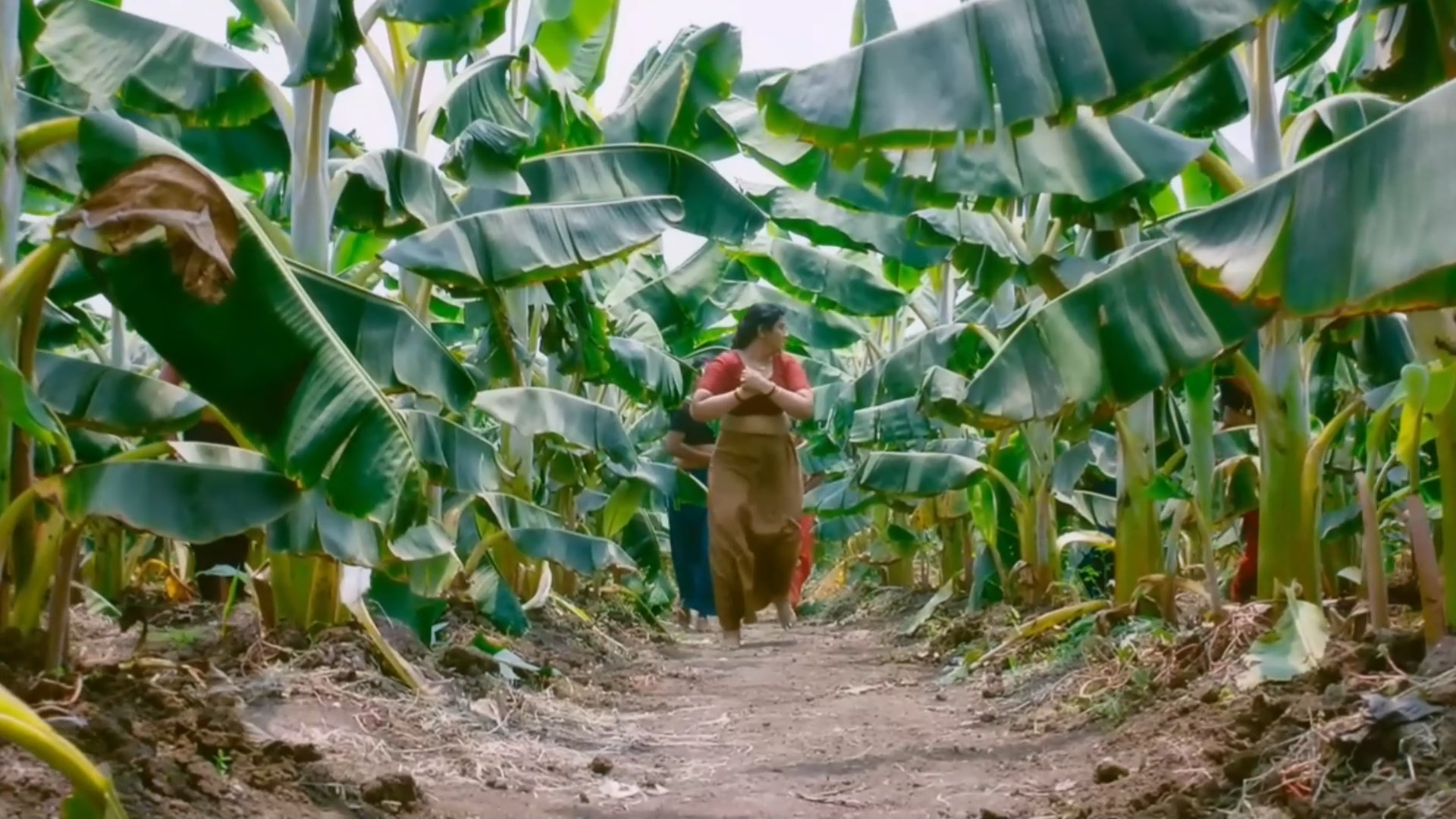 Matured Vani Viswanath Big Boobs and Navel Slips in Saree mp4 snapshot 00 12 557 — Postimages