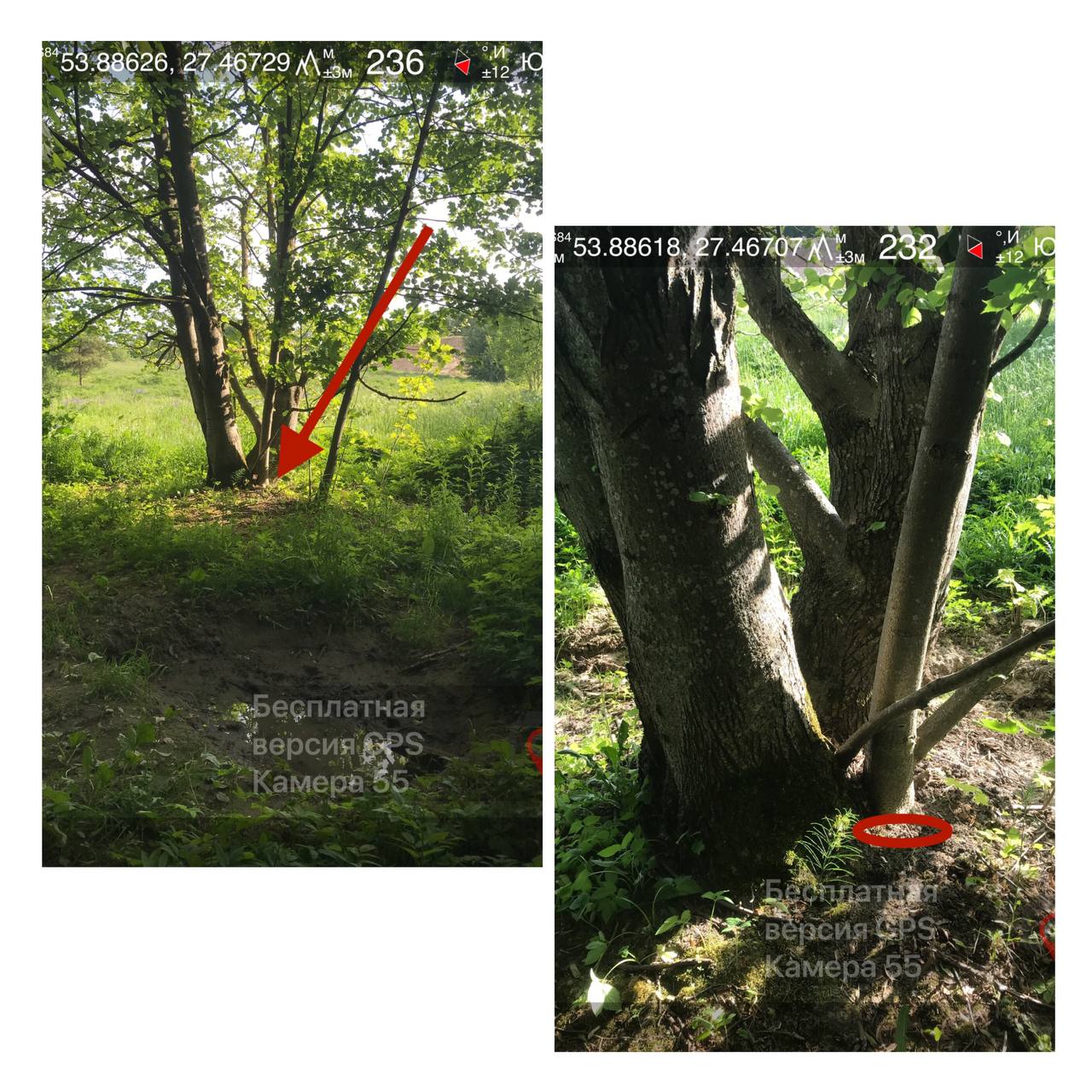 2 (23) — Postimages