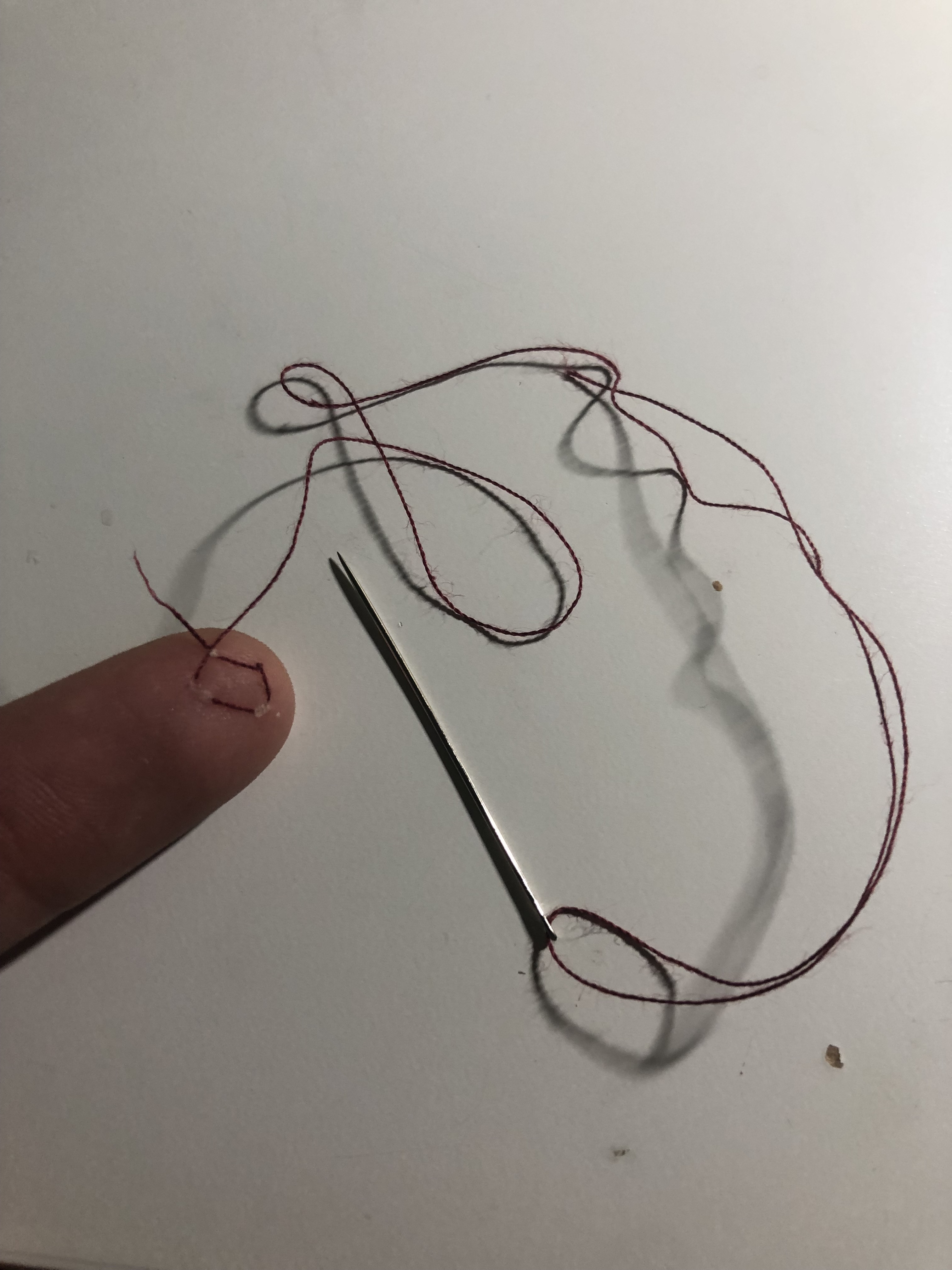 IMG 4954 — Postimages