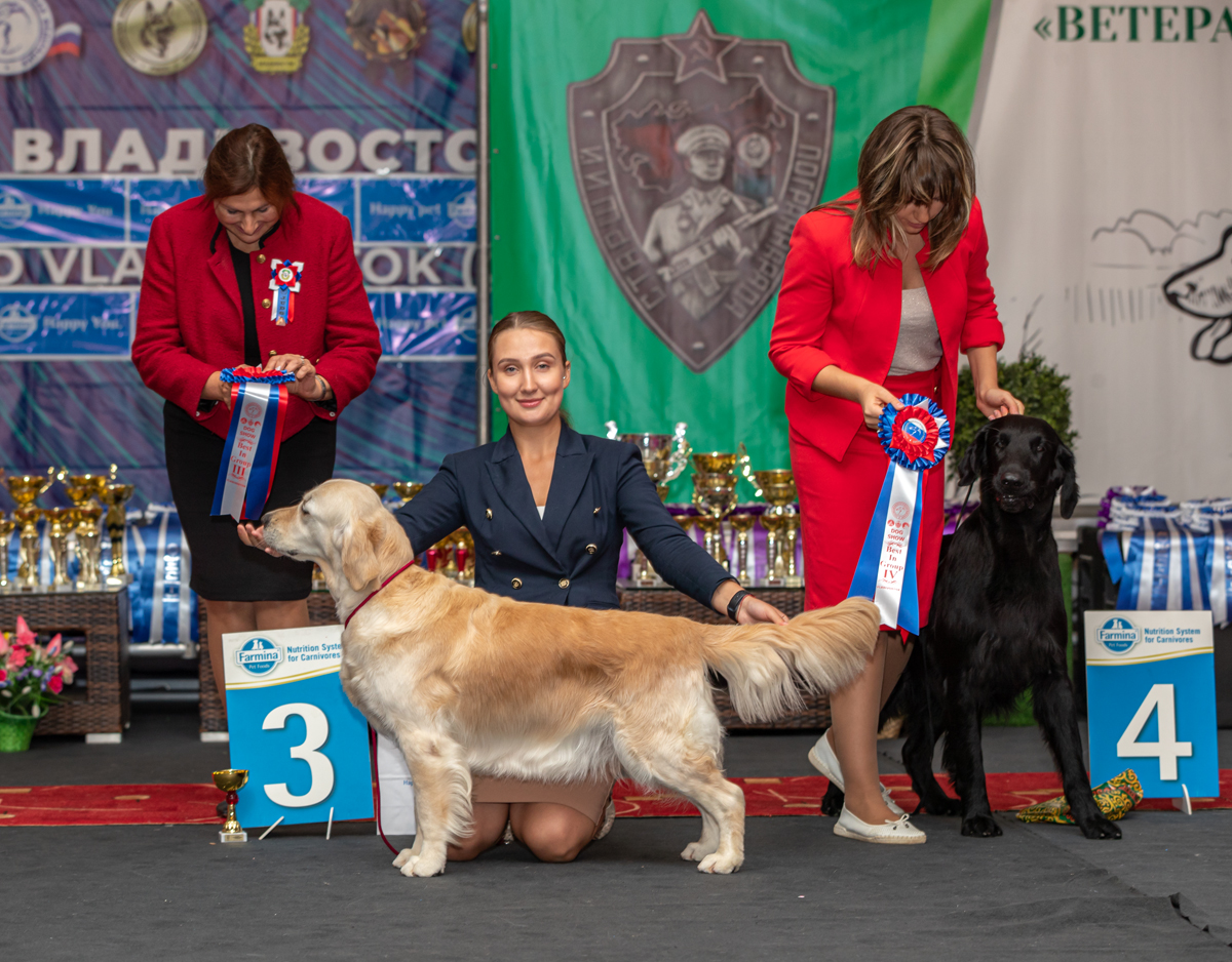 01 3796 — Postimages