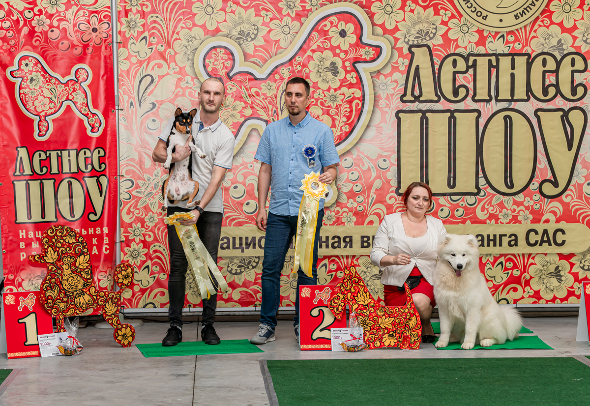 214 CR2 — Postimages