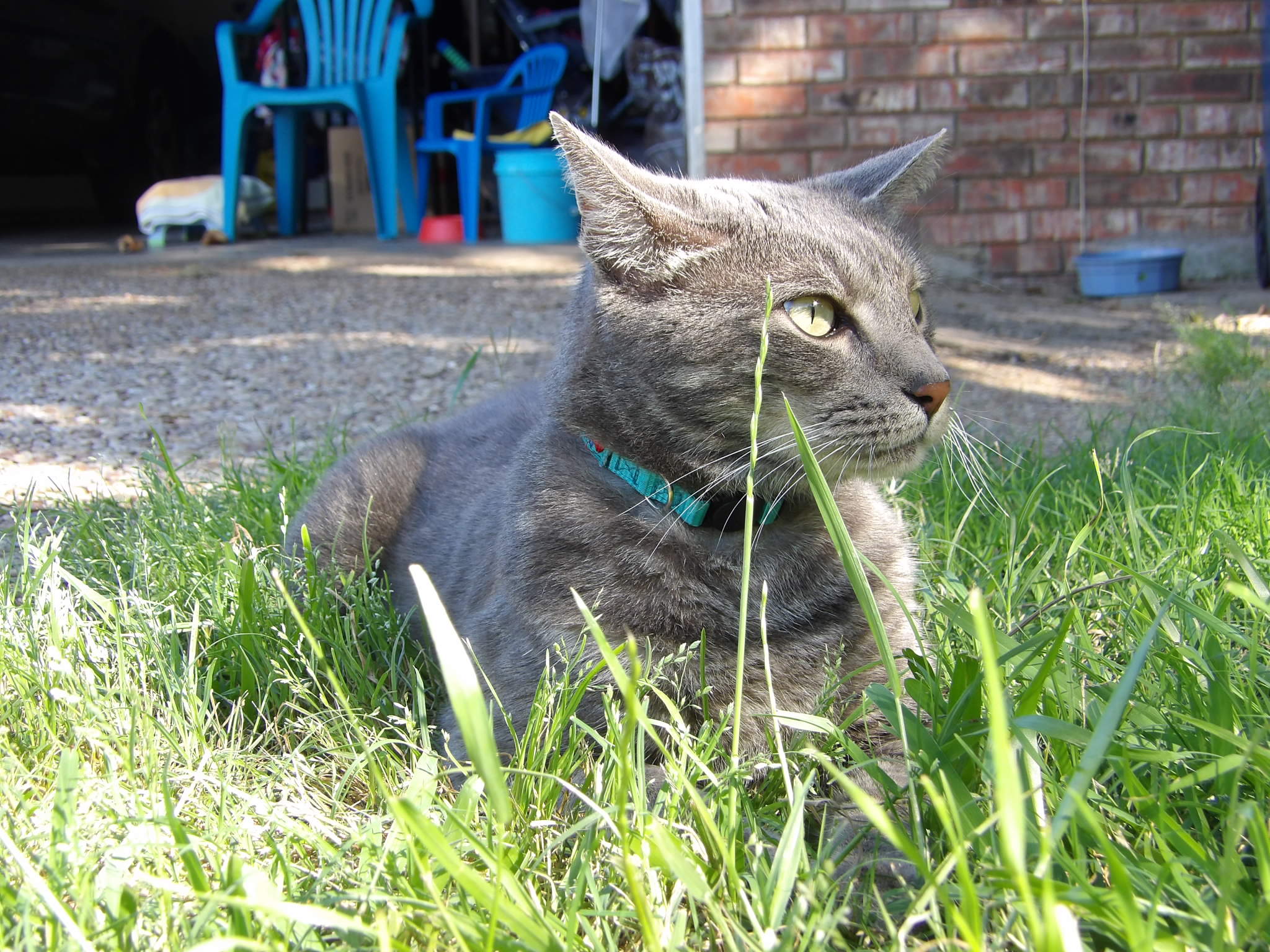 145 4016 — Postimages