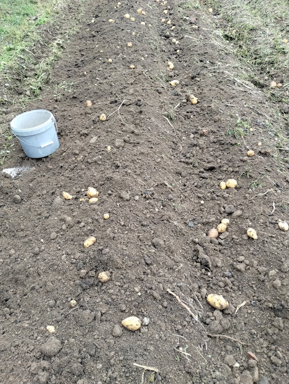 IMG 20251020 110145324 — Postimages