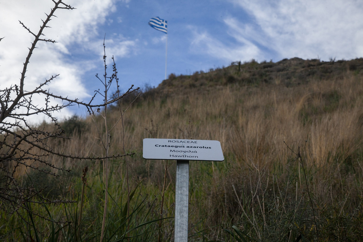 IMG 5503 — Postimages