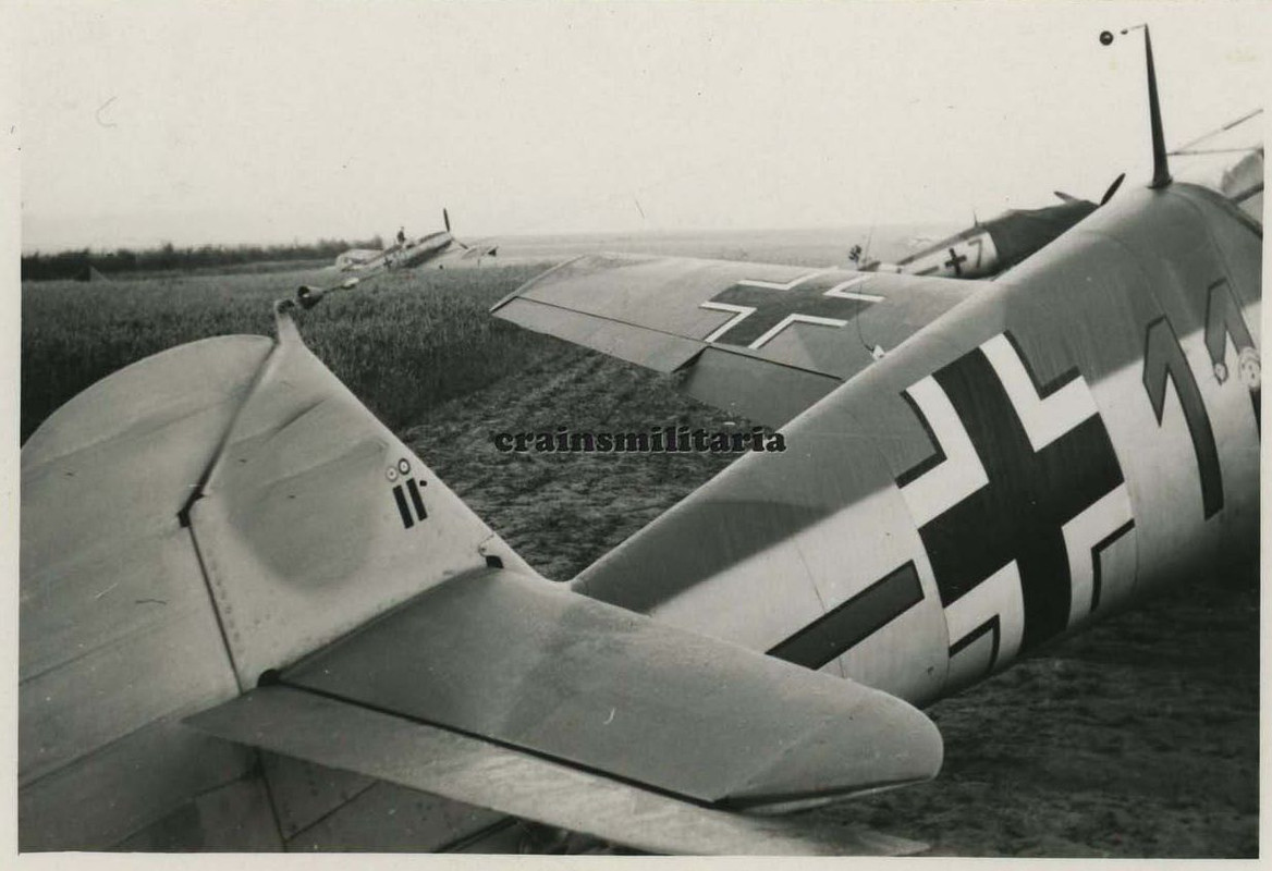 ft6493 — Postimages