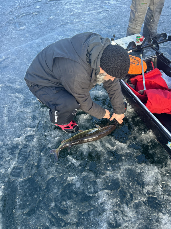 IMG 2146 — Postimages