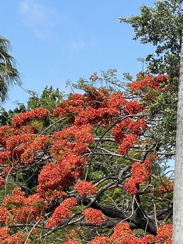 IMG 9392 — Postimages