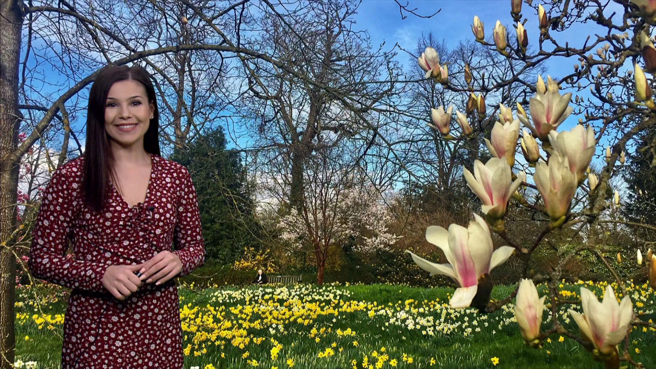 BBC London News 20230327 13301345 ts snapshot 11 42 856 — Postimages