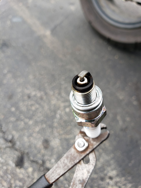 20200804 124522 compress68 — Postimages