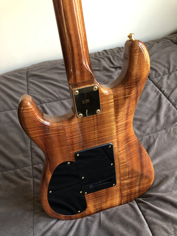 Let's see your unique Stratocasters - Freaks Only! | The Gear Page