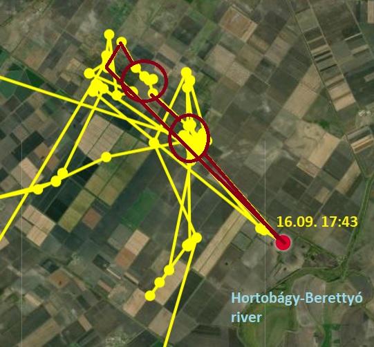 Black Stork Tracks - Page 490 - Looduskalender