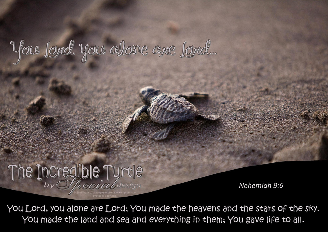 PGFE Turtle Bible Poster1 Neh9 A4 — Postimages