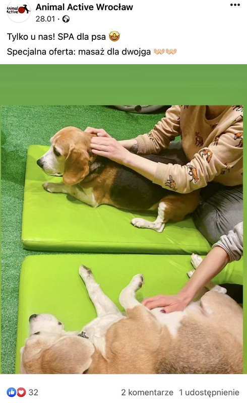 IMG 2011 — Postimages