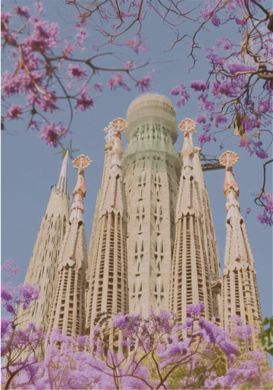 Friends of Figma World Tour 2025