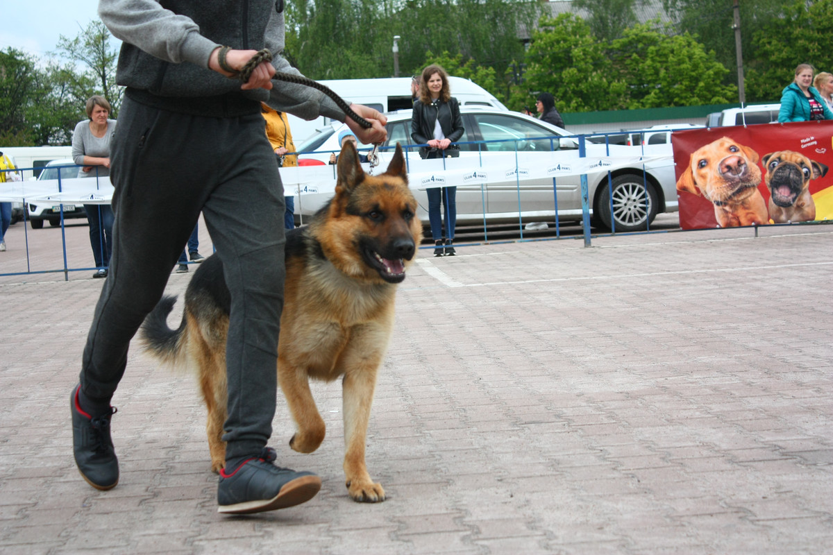 IMG 2207 — Postimages