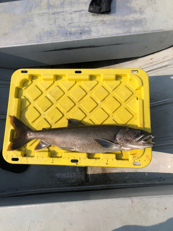 IMG 2195 — Postimages