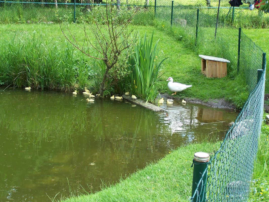 100 9793 — Postimages