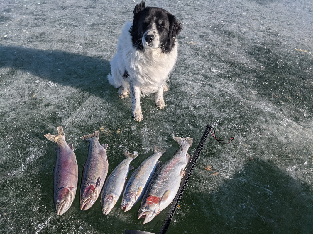 PXL 20201204 175436525 MP — Postimages