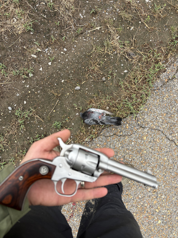 IMG 2884 — Postimages