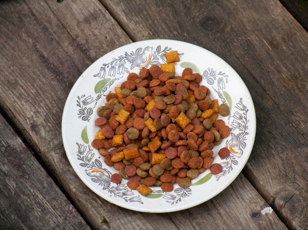 0068 2023 08 05 Pro1 CRW 0301 — Postimages