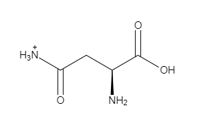 Asparagine is a polar amino acid. What is the maximum numb | Quizlet
