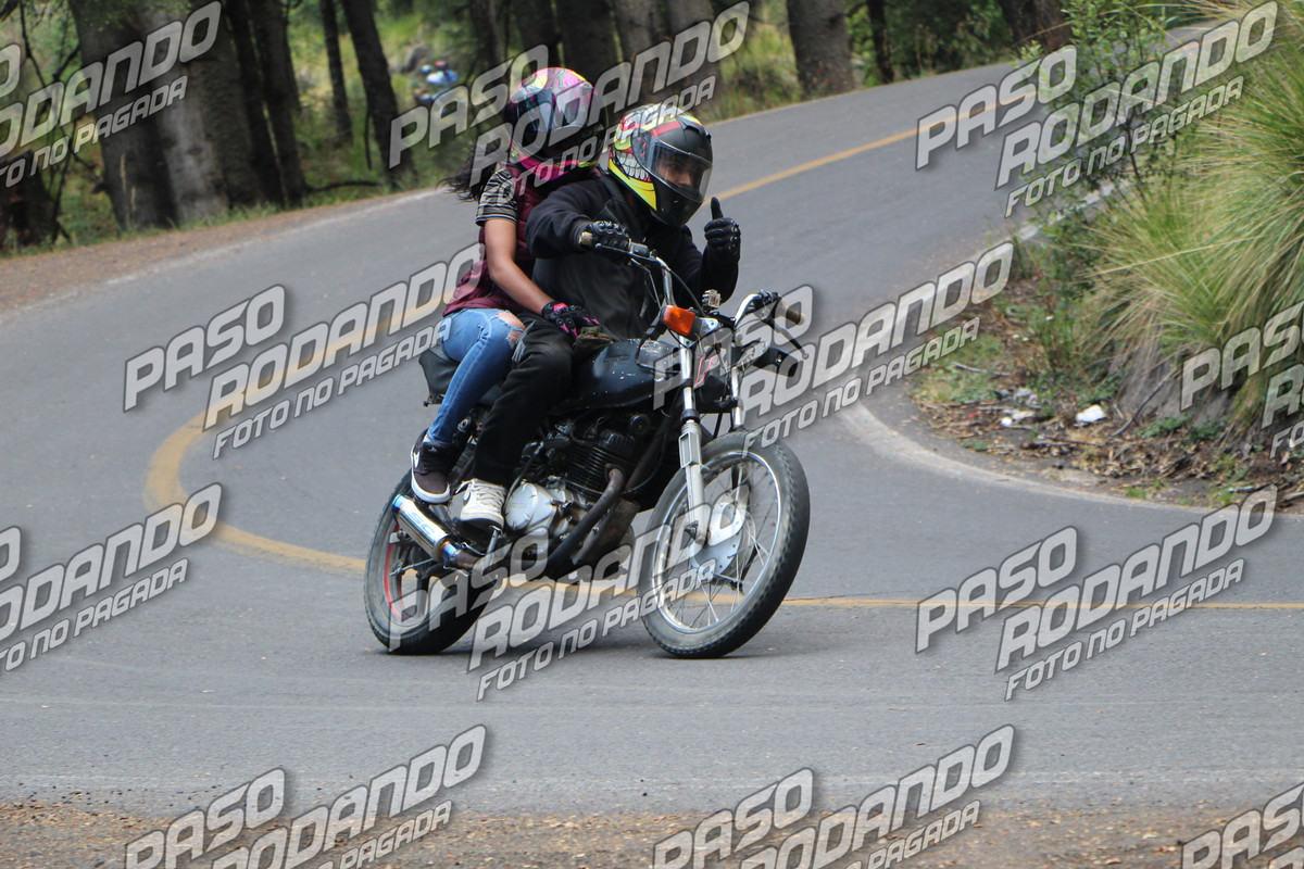 IMG 8728 wm 9257686 8 watermarked — Postimages