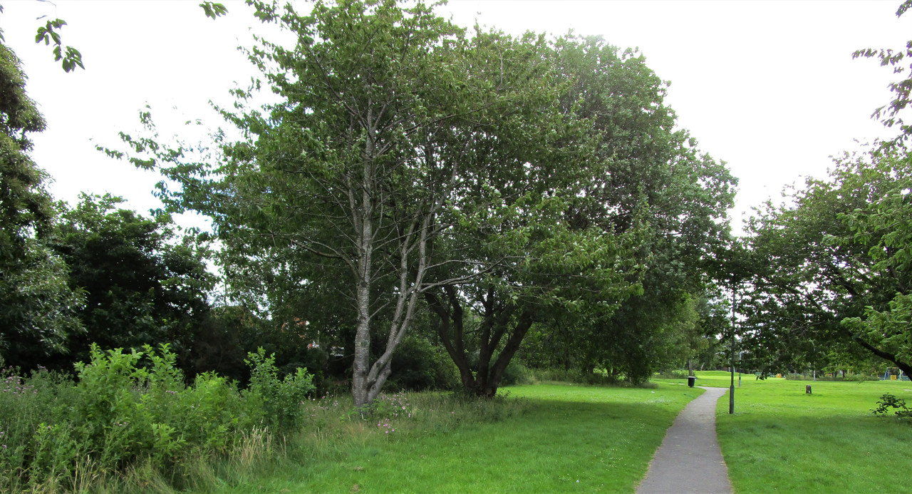 marion square - Bootle Times News
