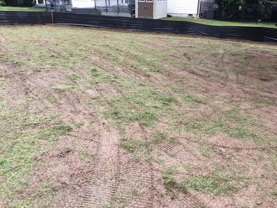 Tahoma sprigs - 3 Phases, 12k | Lawn Care Forum