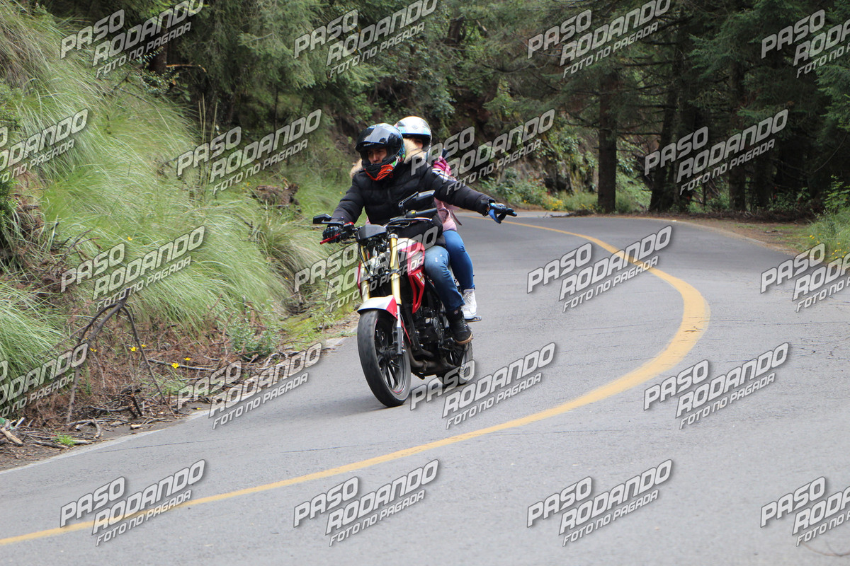 IMG 2272 wm 81222 3999999999 watermarked — Postimages