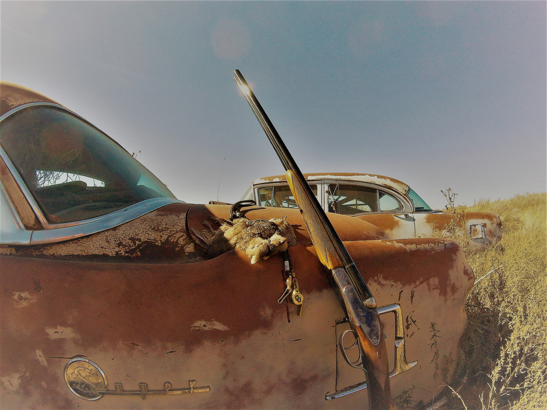 Podcast Header — Postimages