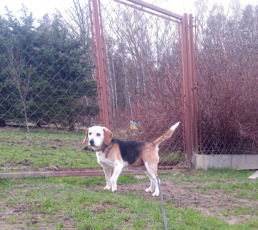 Emma 1 — Postimages