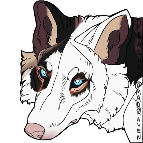 💥YWH icon! + NEW LION ICON! |:| Wolvden