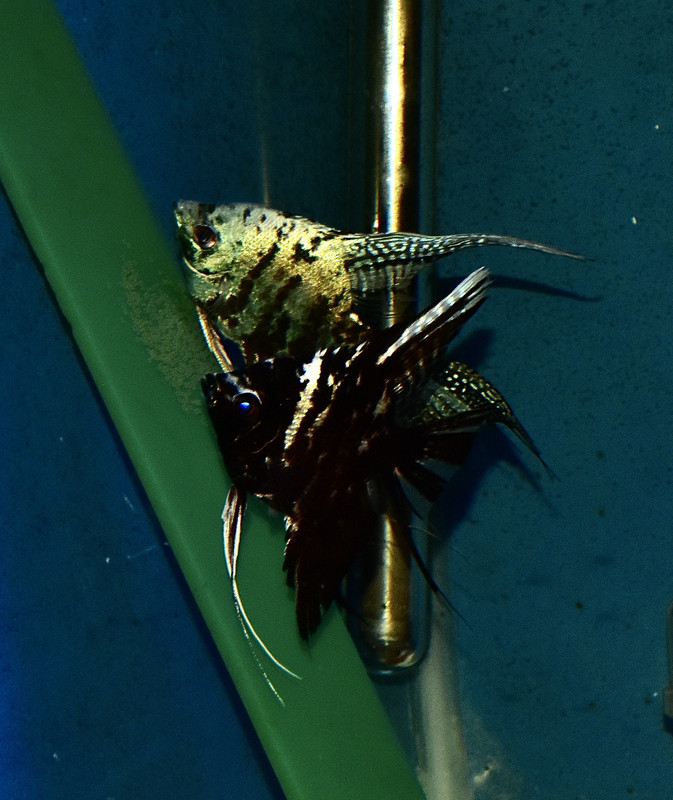 DSC 0124 — Postimages