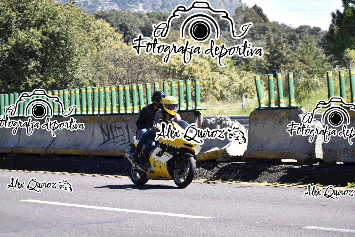 AVQ 9251 — Postimages