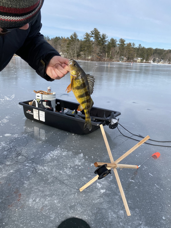 1 ED4 AD17 687 C 4 E5 F 8325 F452 E92 DFCD5 — Postimages