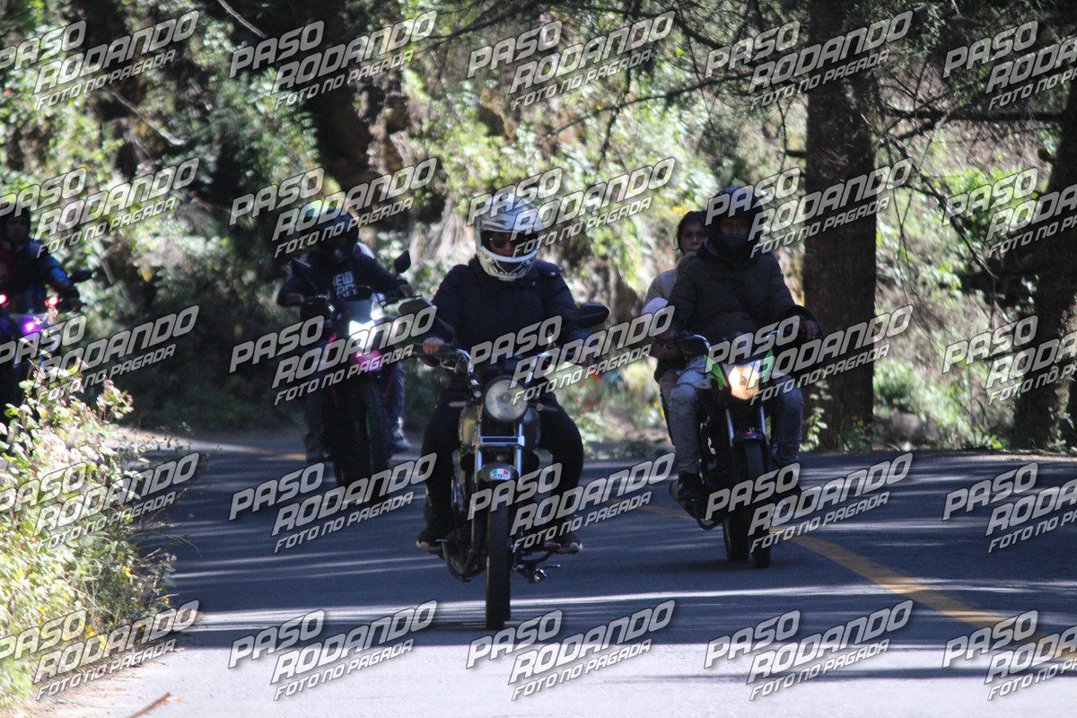 IMG 1851 — Postimages