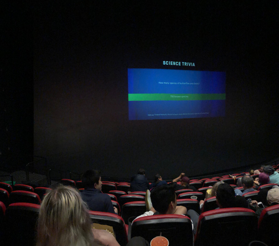 IMG 5335 — Postimages