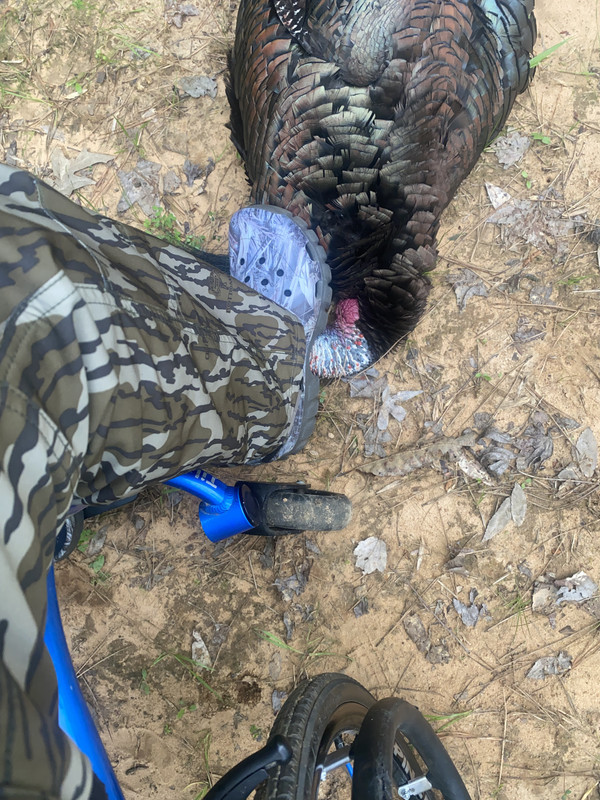 4639 E5 A6 2 EDA 4 CF7 A9 E5 4 AEA3 B8701 DB — Postimages