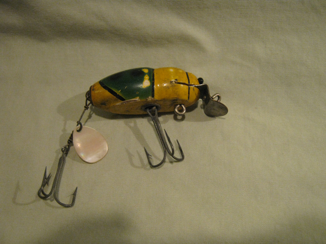 Creek Chub Beetle Question